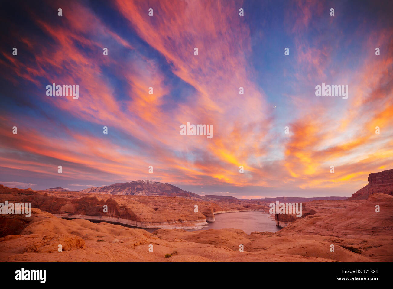 Powel hi-res stock photography and images - Alamy