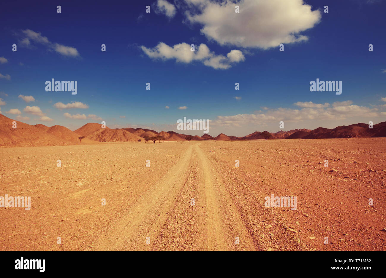 African expedition hi-res stock photography and images - Alamy