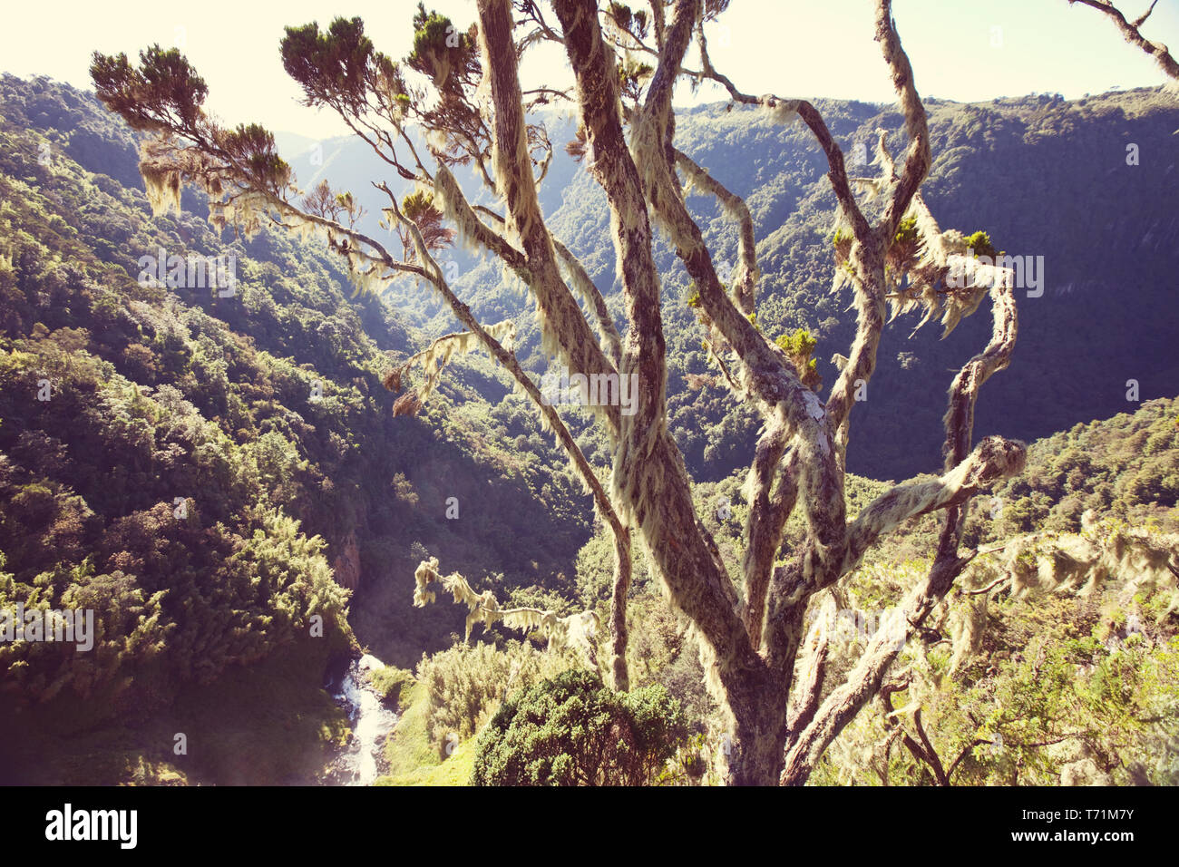 Landscapes in Kenya Stock Photo - Alamy