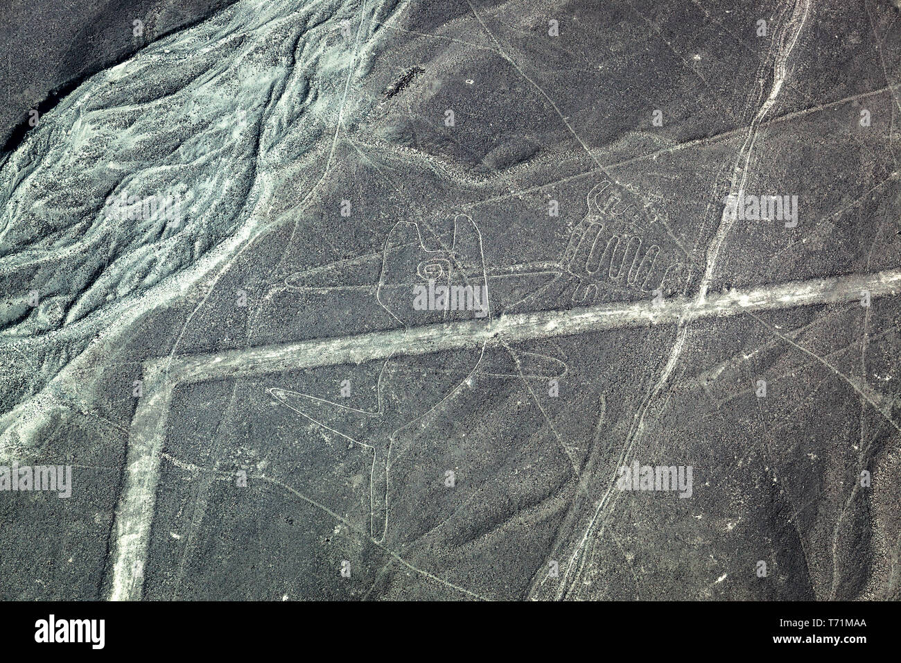 ancient figure of a whale in Nazca desert Stock Photo - Alamy