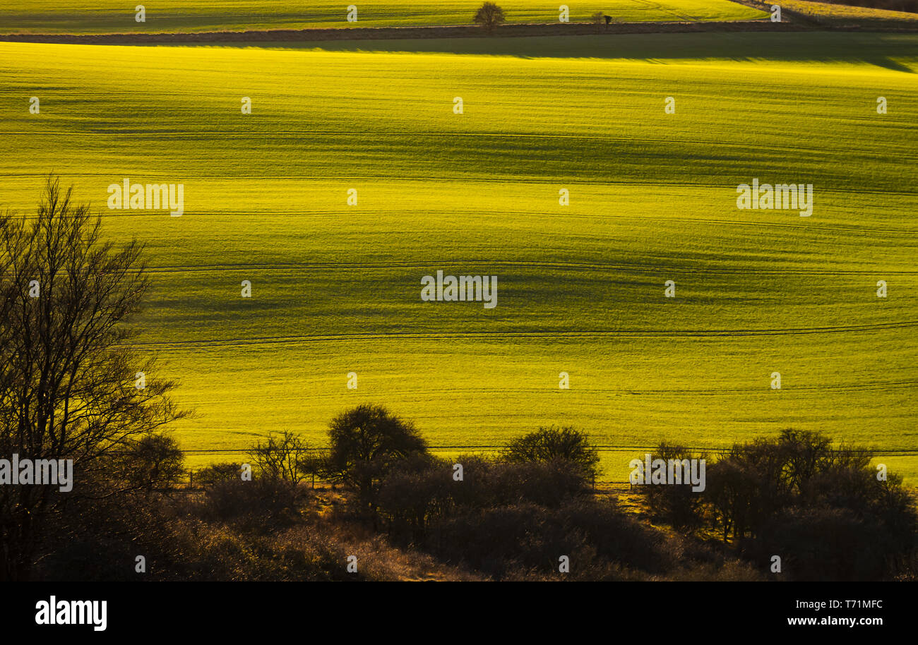 Late Afternoon Shadows Stock Photo - Alamy
