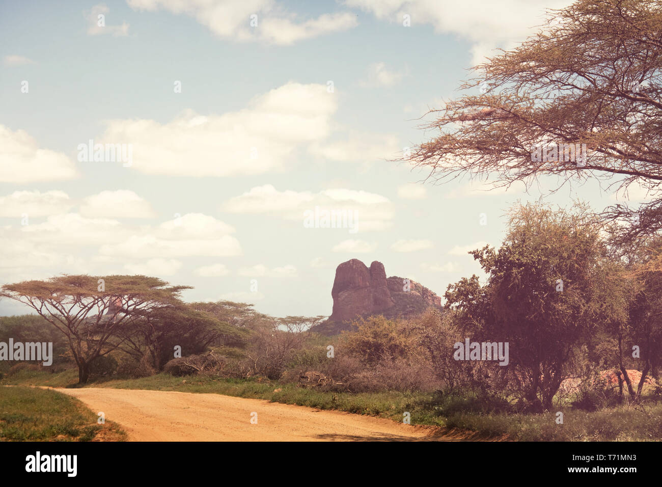 African expedition hi-res stock photography and images - Alamy