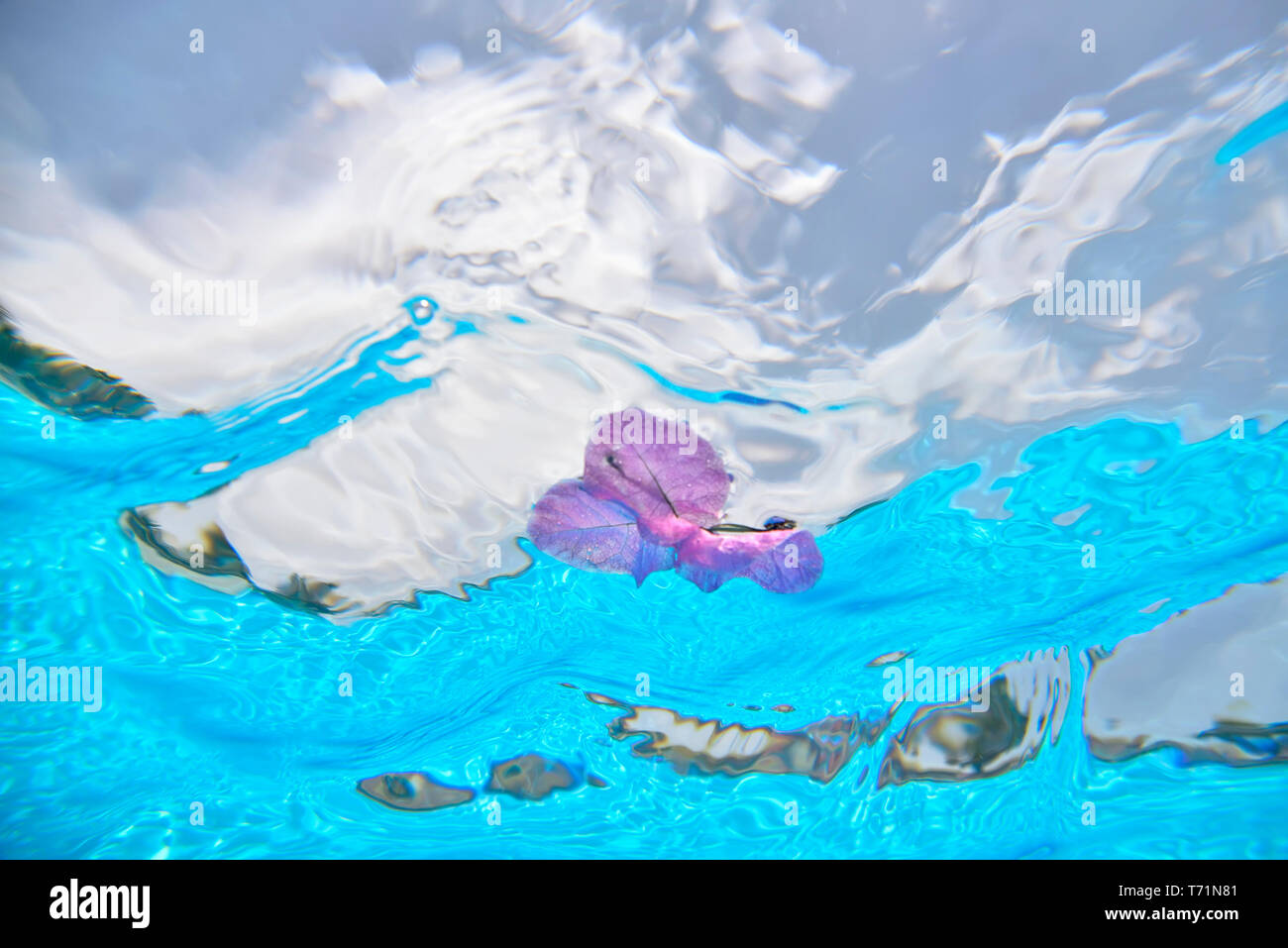 water in the pool Stock Photo - Alamy