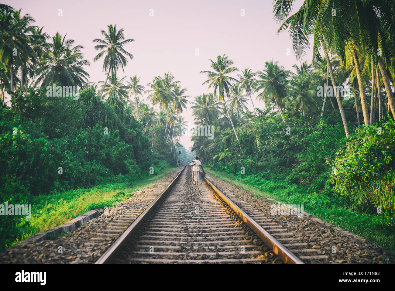 the railroad in the jungle Stock Photo - Alamy