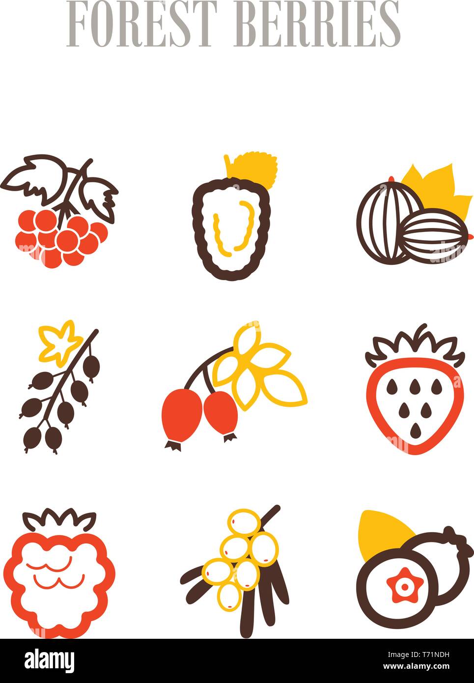 Forest berries icons set. Vector illustration for food apps and ...