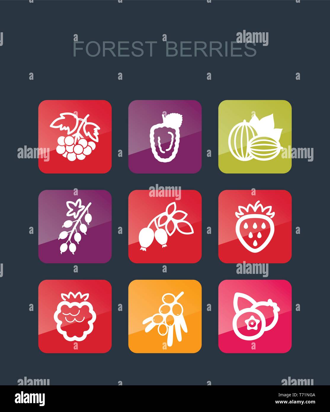 Forest berries icons set. Vector illustration for food apps and ...