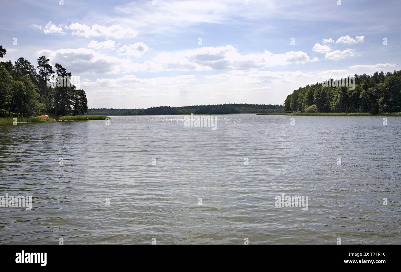 Augustow Forest High Resolution Stock Photography and Images - Alamy