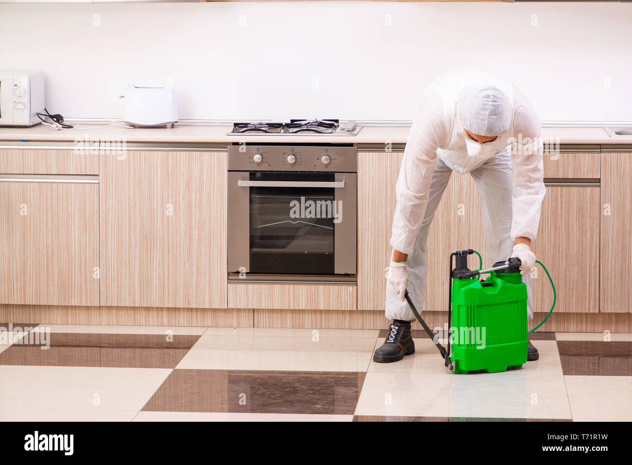 Professional contractor doing pest control at kitchen Stock Photo - Alamy