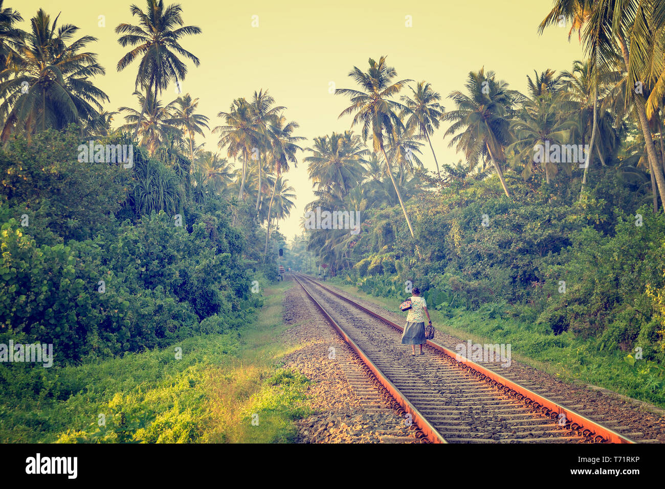 the railroad in the jungle Stock Photo - Alamy