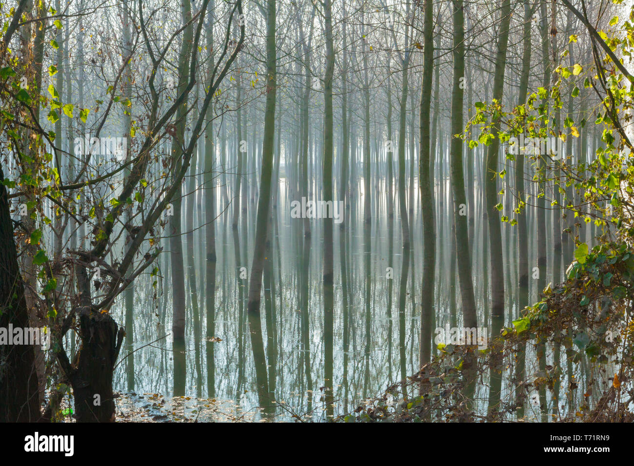 Flood plain hi-res stock photography and images - Alamy
