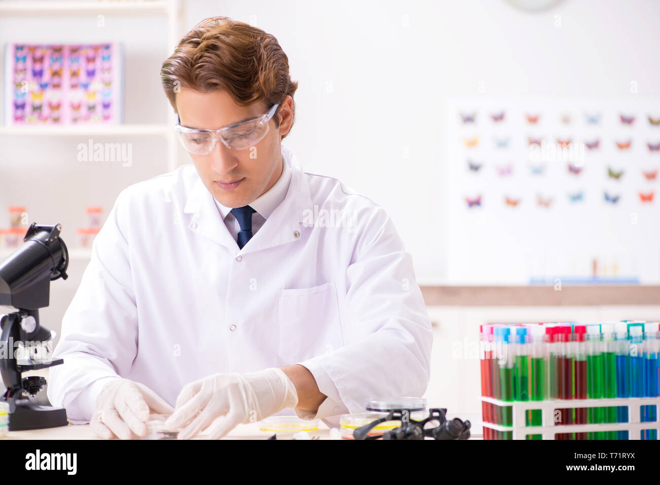 Entomologist microscope hi-res stock photography and images - Alamy