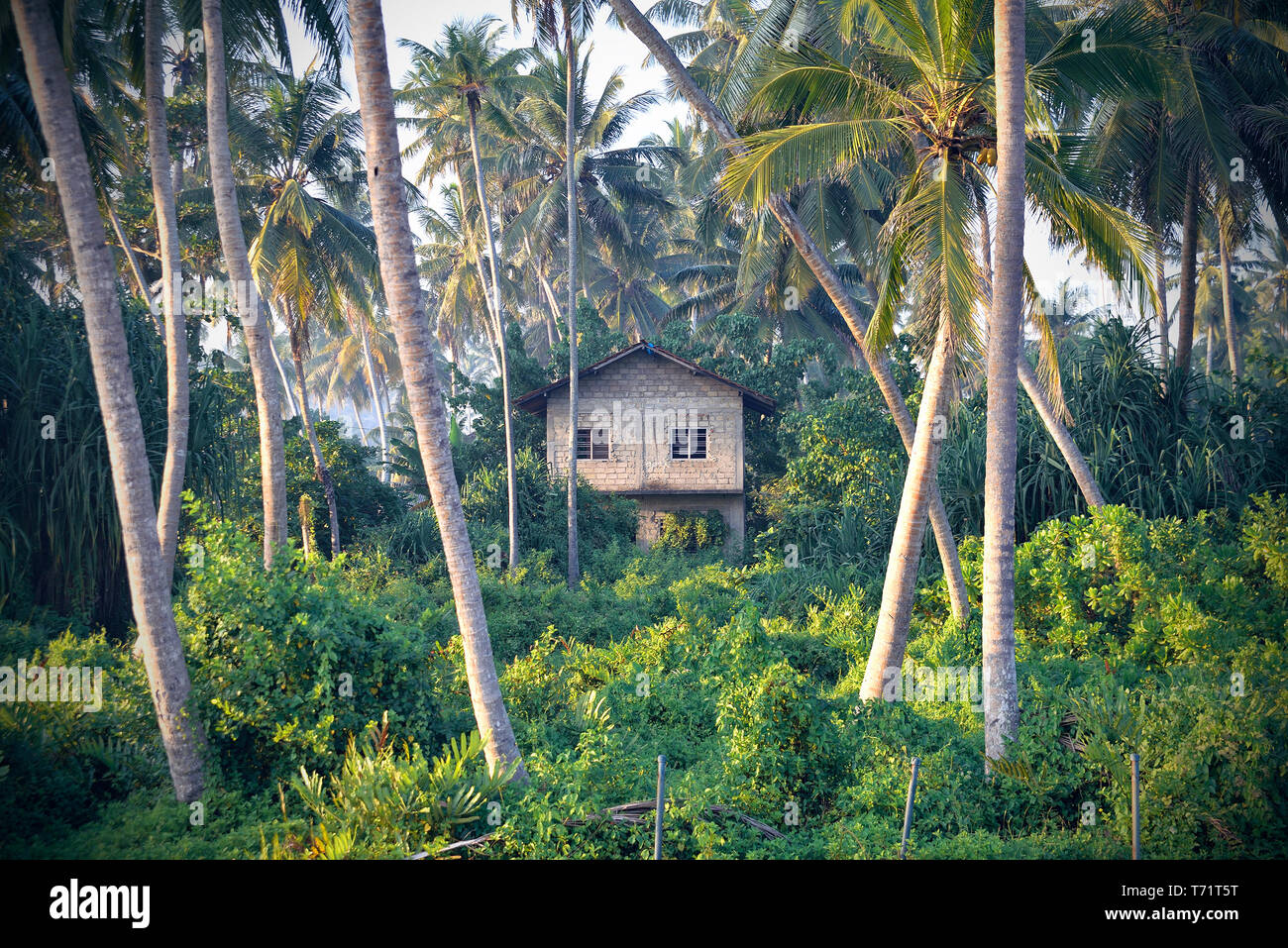 old hut Stock Photo - Alamy