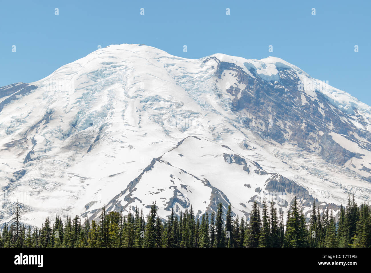 The peak of Mt Rainier in Washington state against a bright blue summer ...