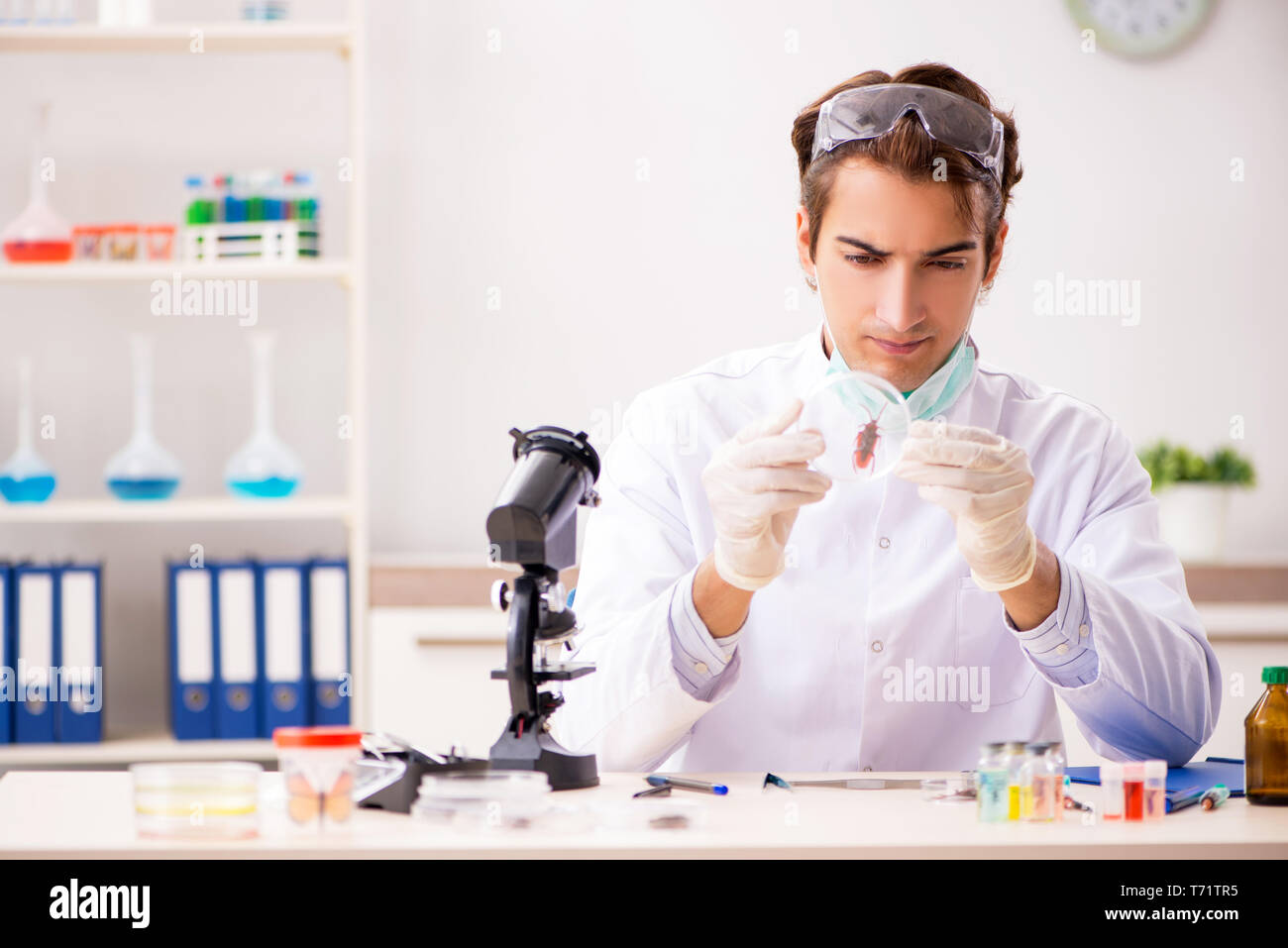 Male entomologist working in the lab on new species Stock Photo - Alamy