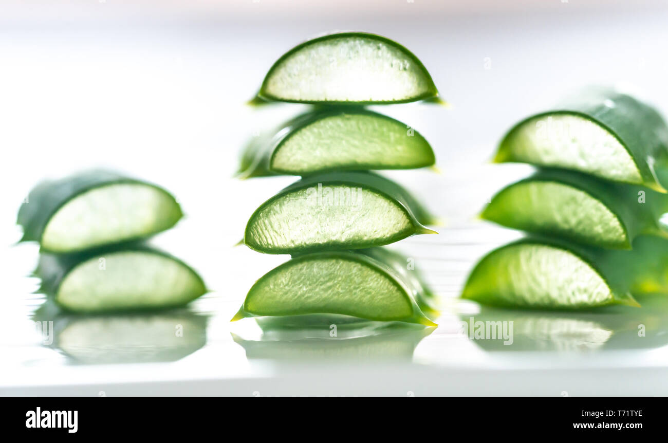 Fresh leaves of Aloe Vera on the white background: cross section Stock ...