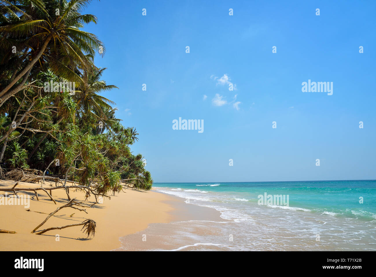 Indian beach life hi-res stock photography and images - Alamy
