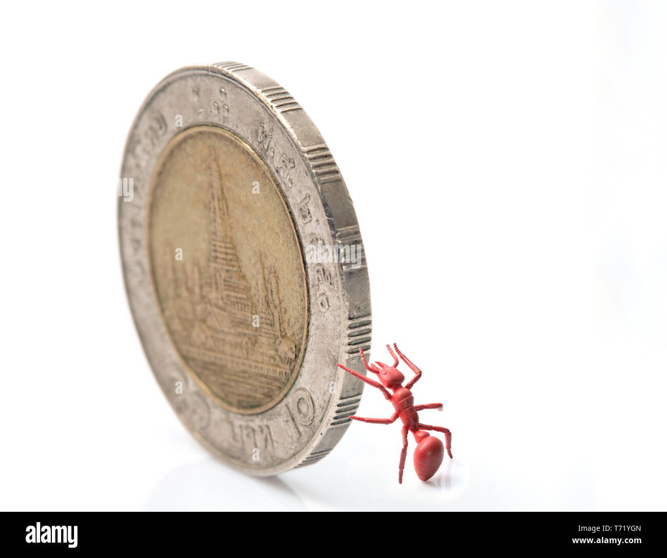 Ant pushing hi-res stock photography and images - Alamy