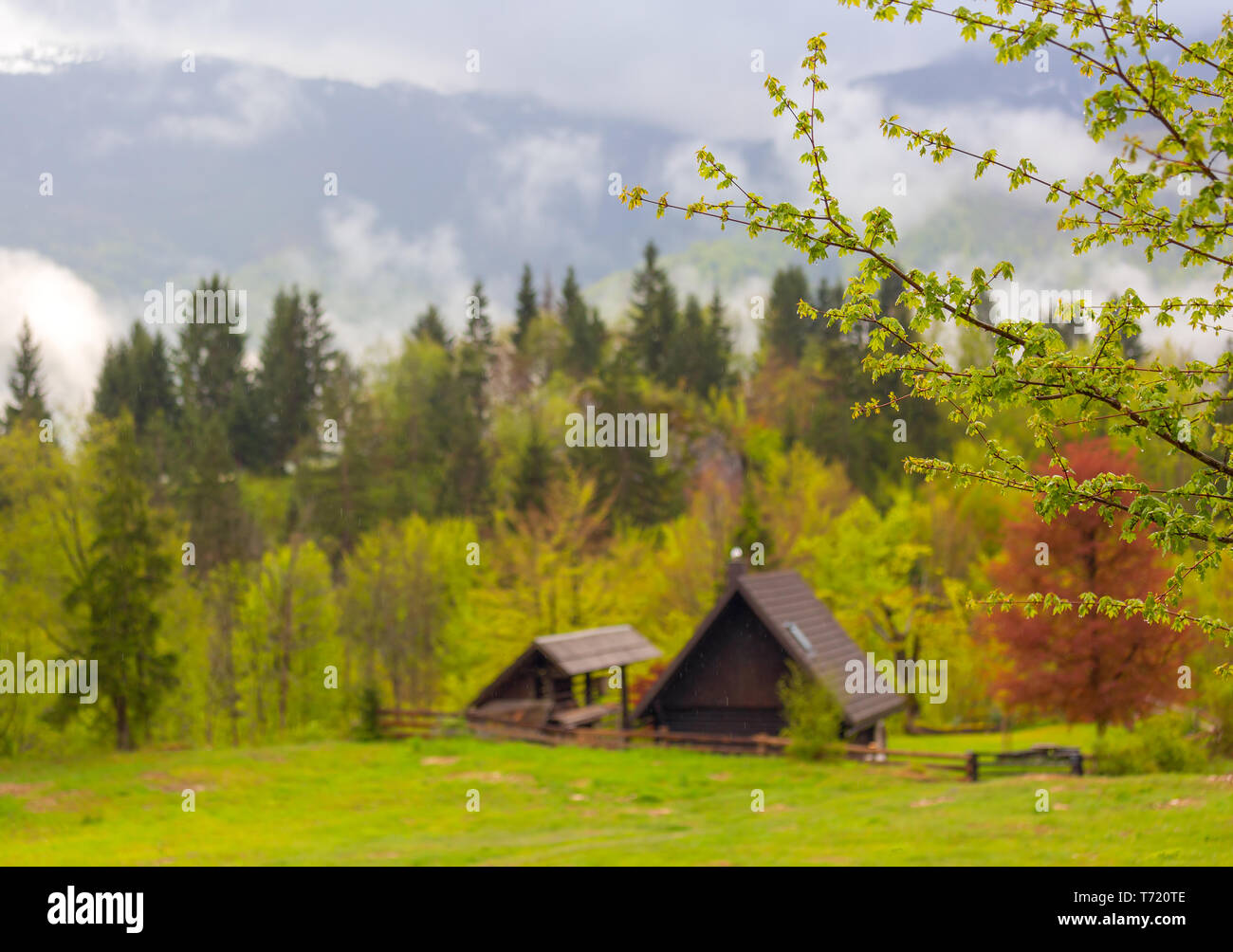 Spring in the alps hi-res stock photography and images - Alamy