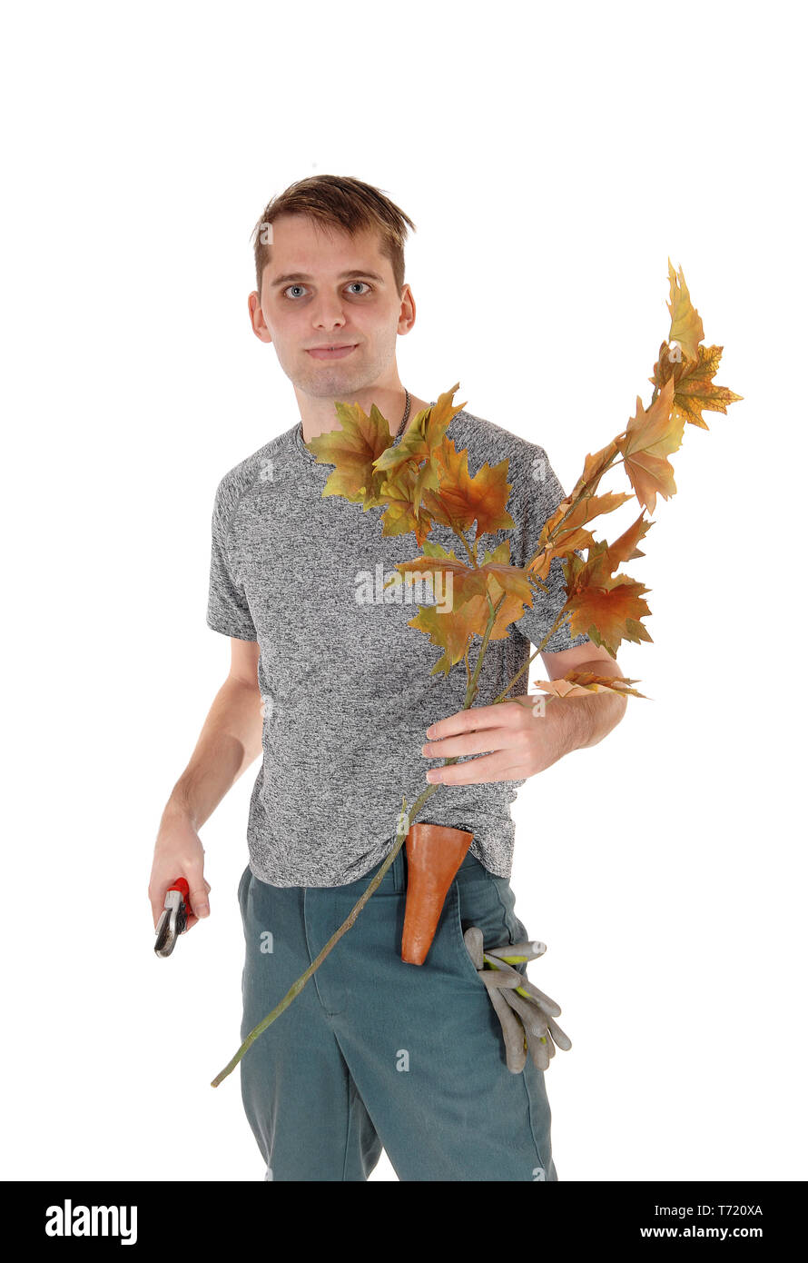 Young man holding on autumn trees and cutter Stock Photo - Alamy