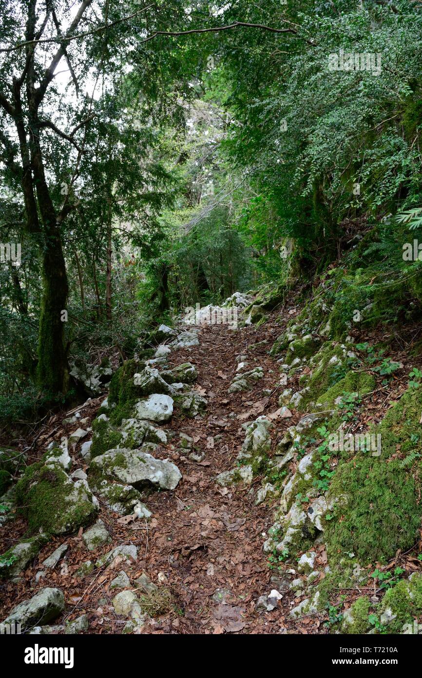 Trodden hi-res stock photography and images - Alamy