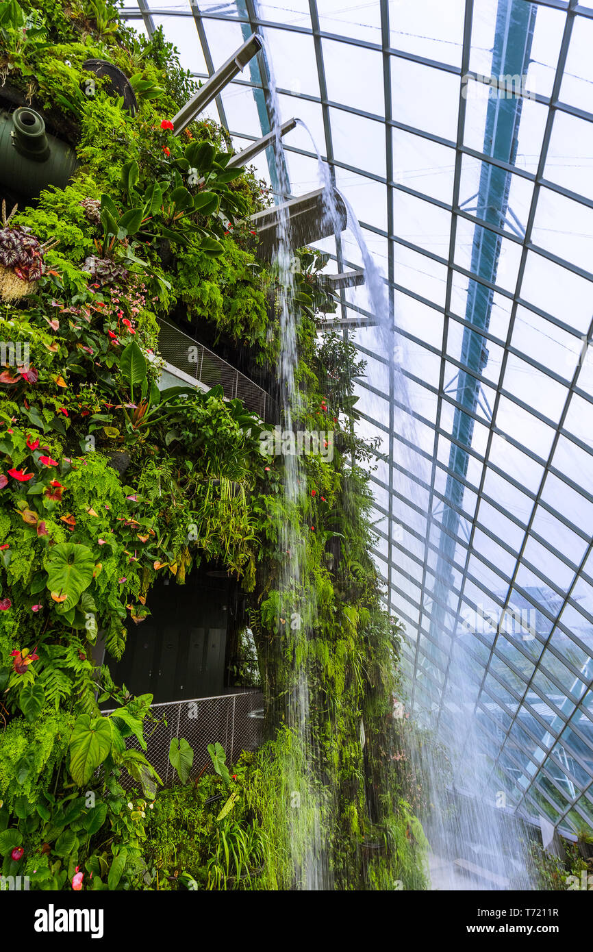 Rainforest dome hi-res stock photography and images - Alamy