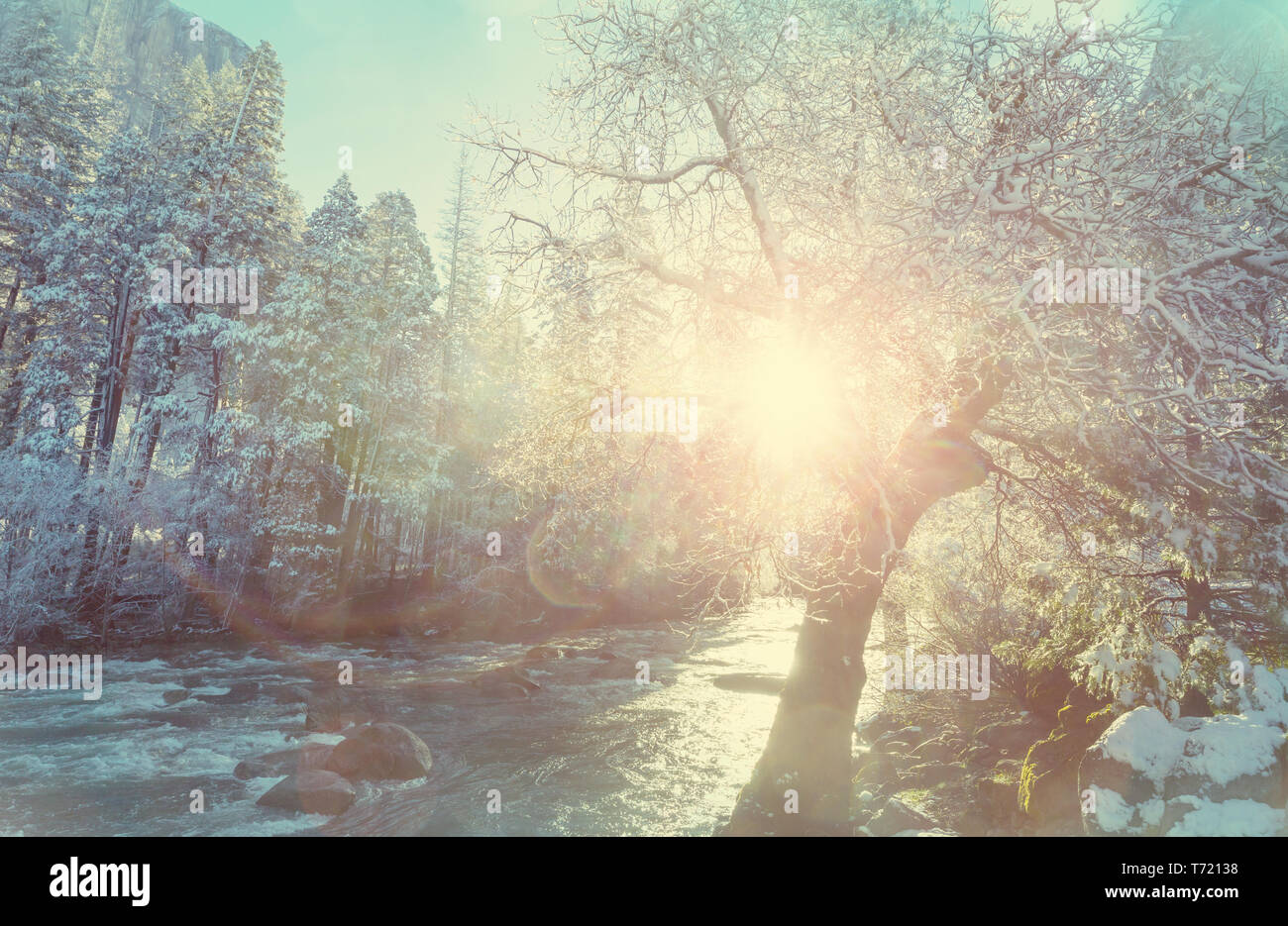 Early spring in Yosemite Stock Photo - Alamy