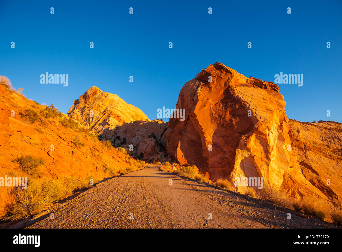 Road in the prairie country Stock Photo - Alamy