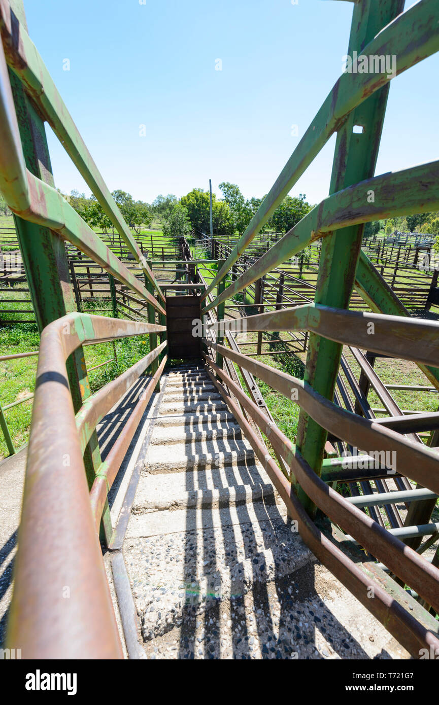 Cattle ramp hi-res stock photography and images - Alamy
