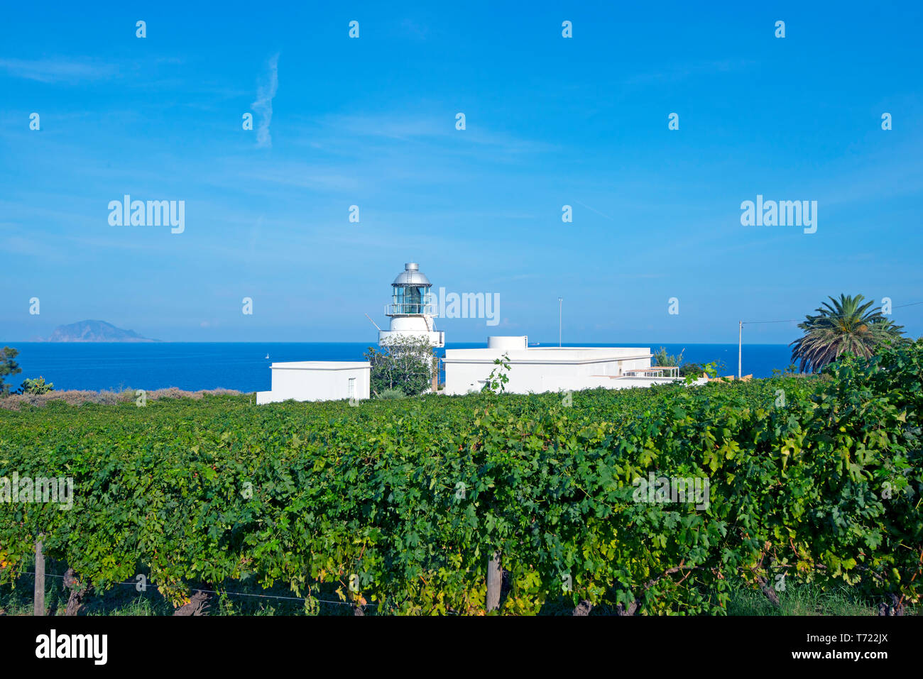 Vineyard, Capofaro resort, Salina, Aeolian Islands, Sicily, Italy ...
