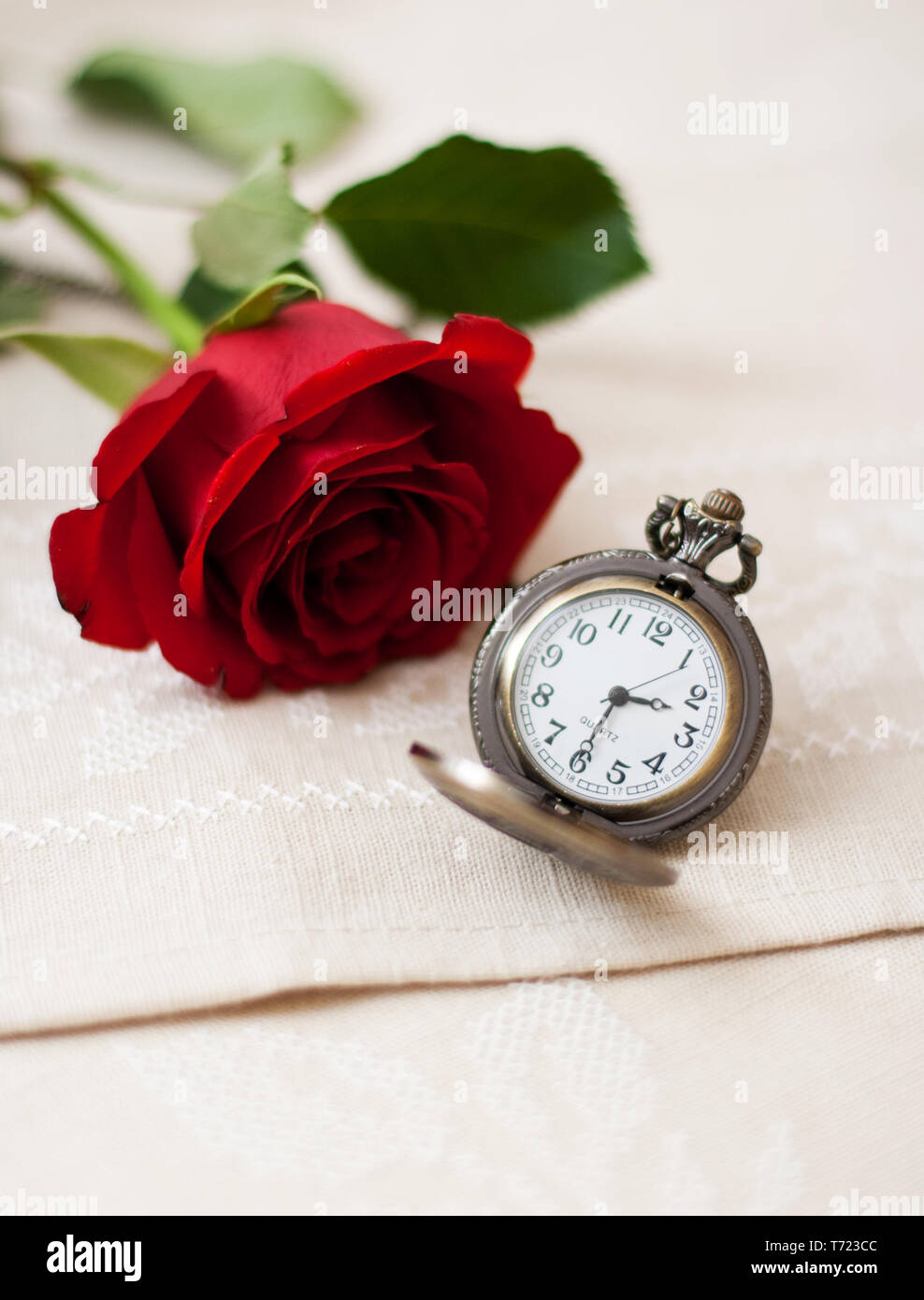 Pocket Watches and Rose Stock Photo - Alamy