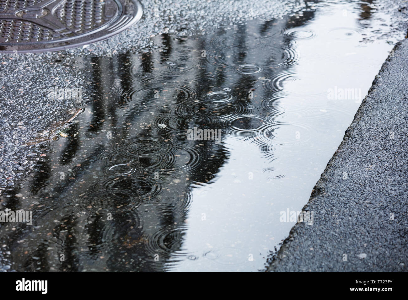 rain puddles on pavement in the city Stock Photo - Alamy
