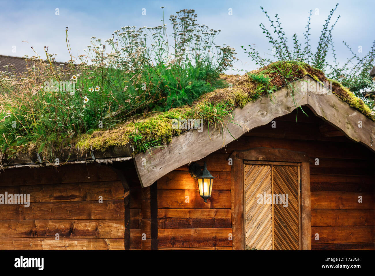 houses with a turf roof Stock Photo - Alamy