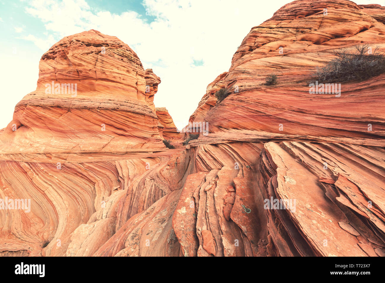 Bizarre sandstone formations hi-res stock photography and images - Alamy