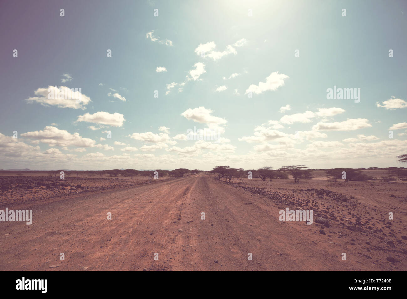 African expedition hi-res stock photography and images - Alamy