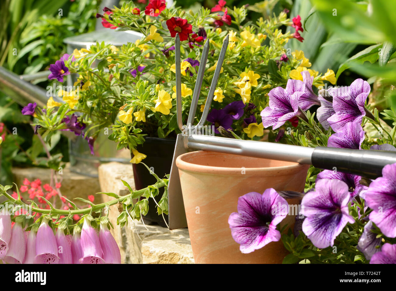 176 hi-res stock photography and images - Alamy