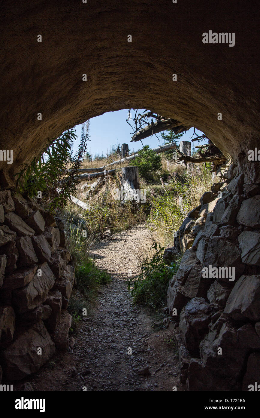 Dachsbau, cave passage in the wildlife park Stock Photo - Alamy