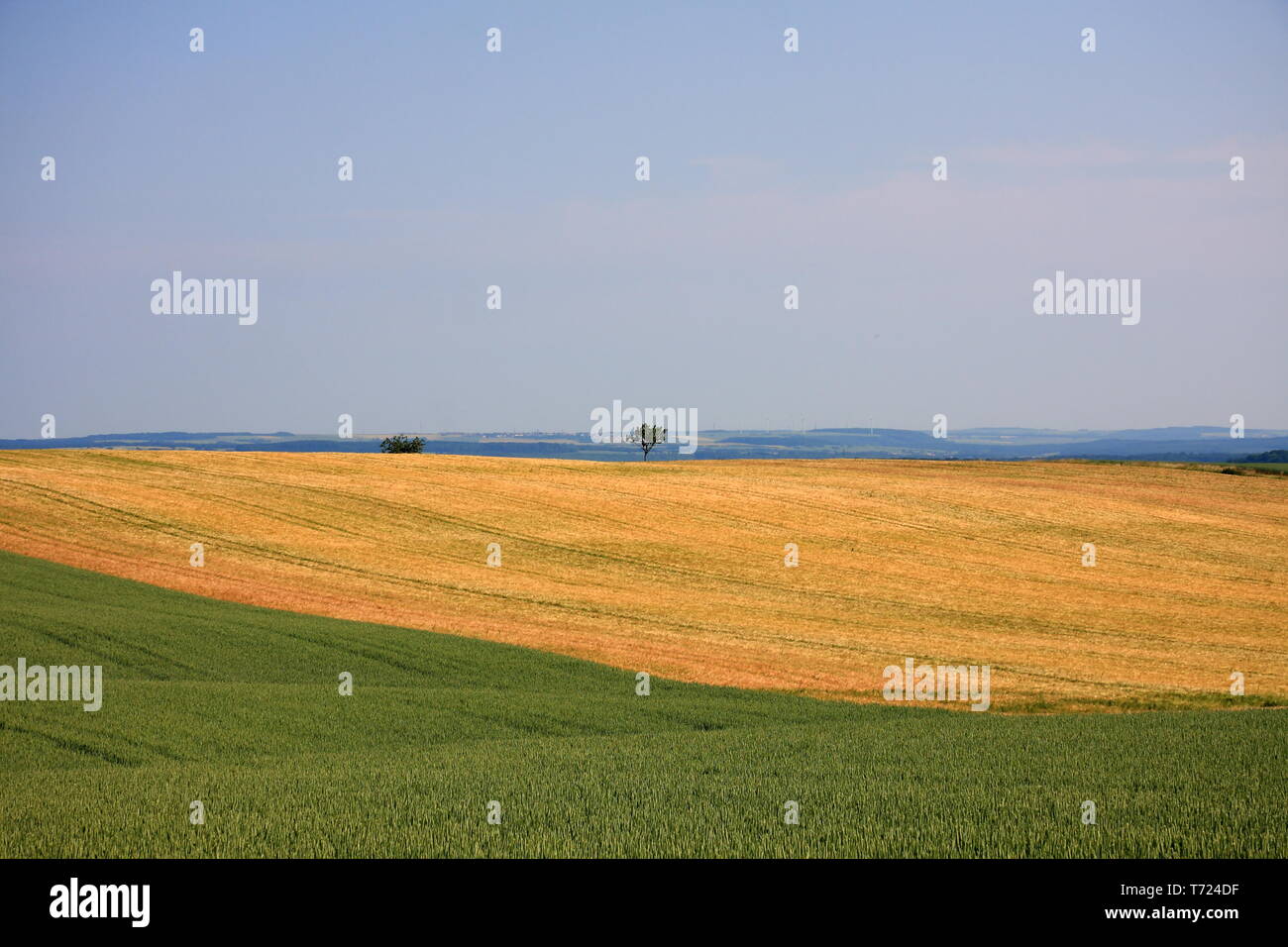 Landscape of cultivated fields hi-res stock photography and images - Alamy