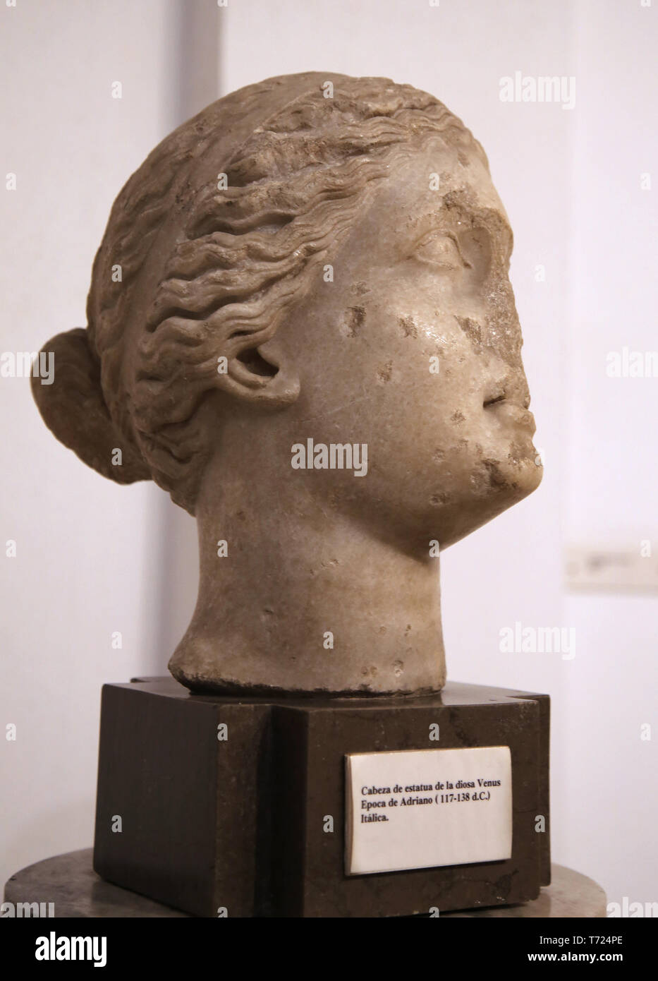 Venus Roman Goddess Statue High Resolution Stock Photography and Images ...