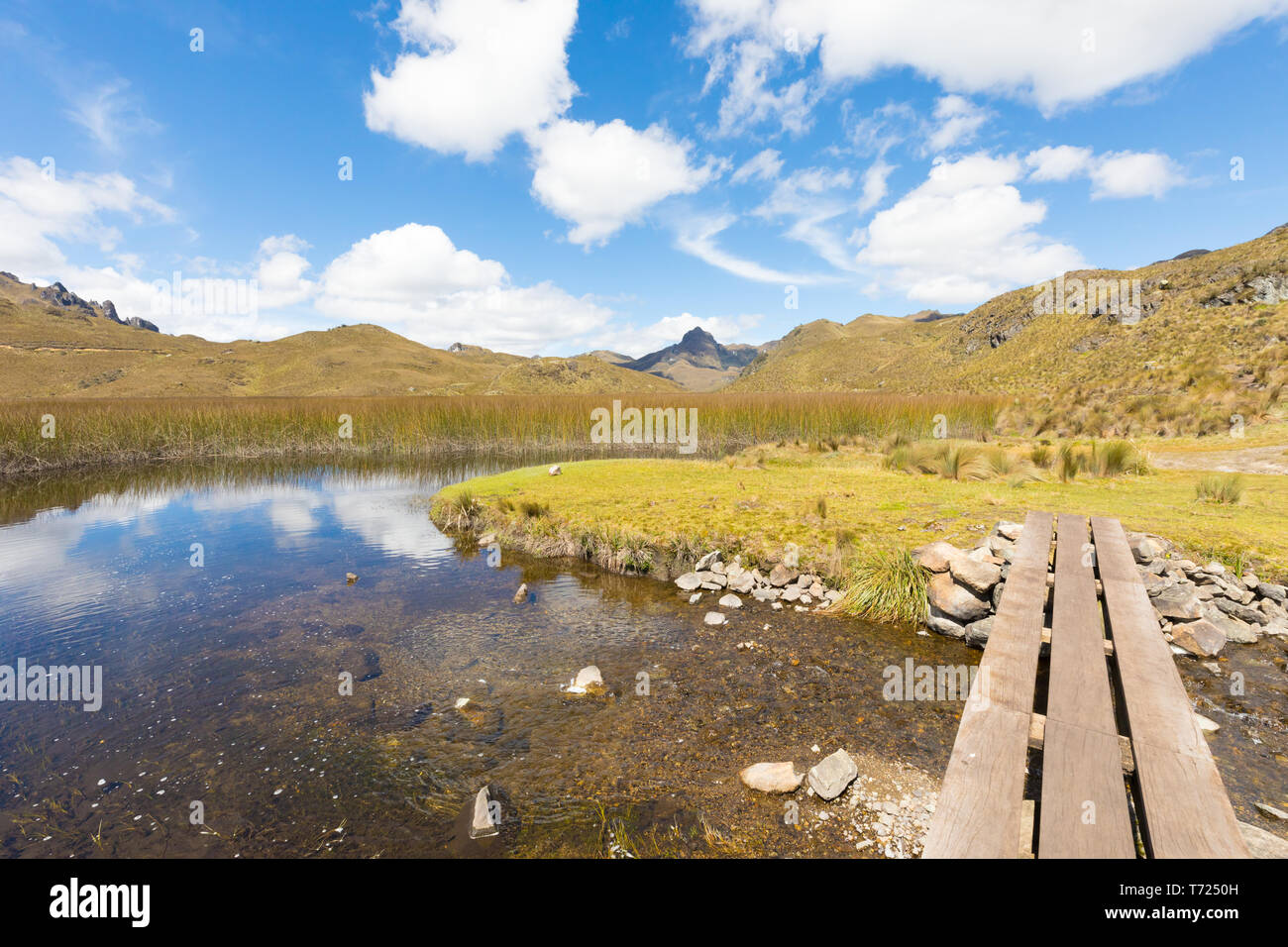 Cuenca bridge hi-res stock photography and images - Alamy