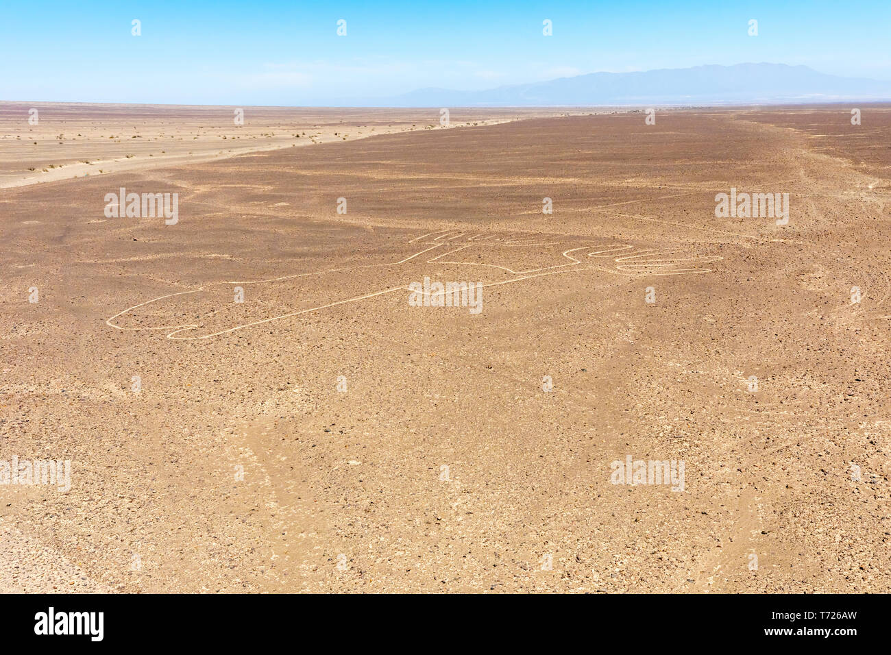 nazca lines the hands Stock Photo - Alamy