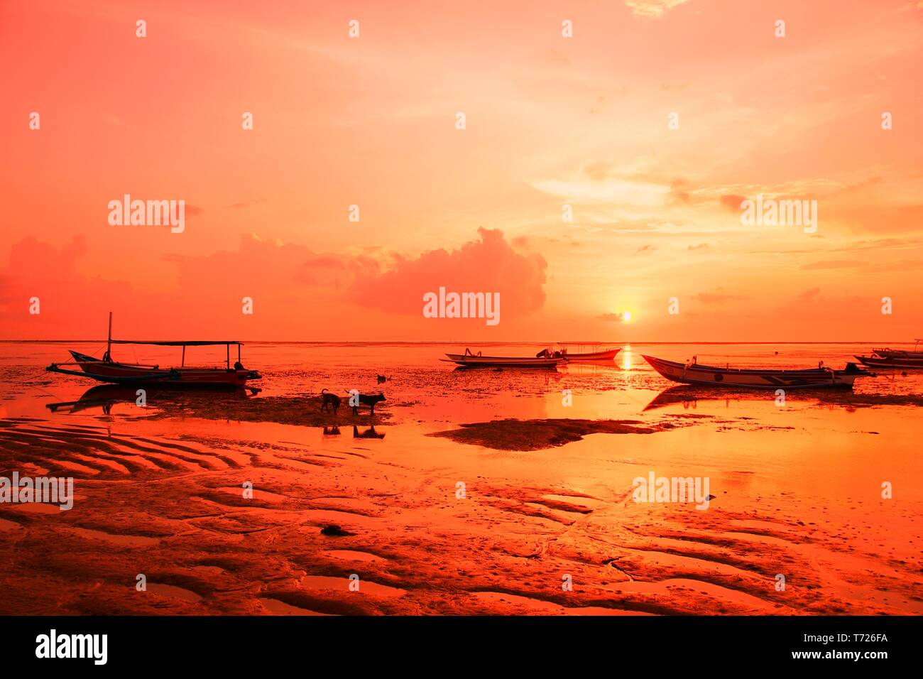 Early southern morning and sunrise Stock Photo - Alamy