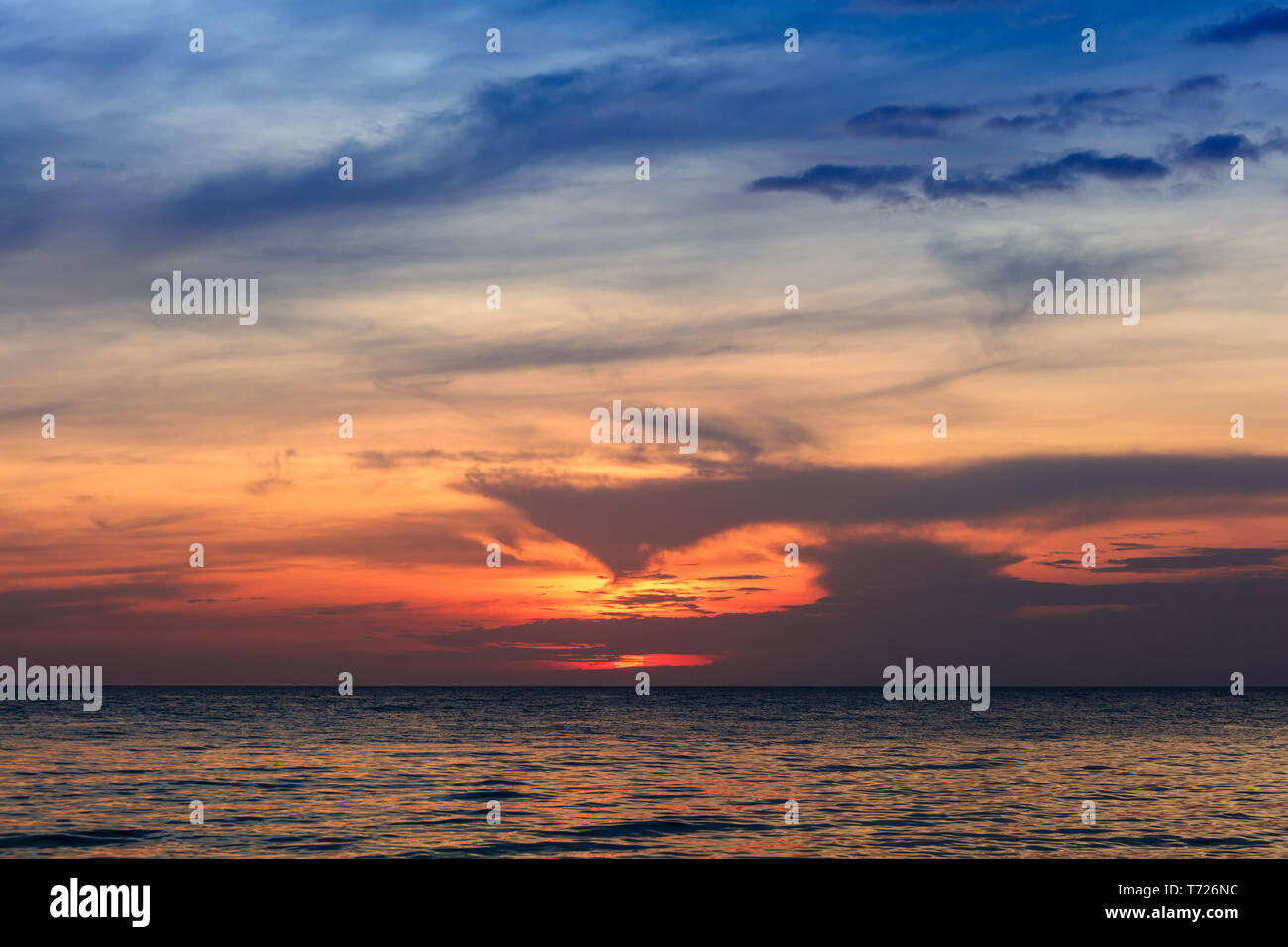 All beauteous hi-res stock photography and images - Alamy