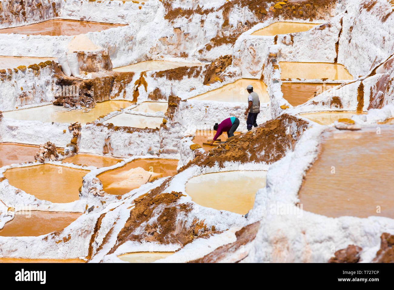 salt collection in the terraced basins of Moray Peru Stock Photo - Alamy