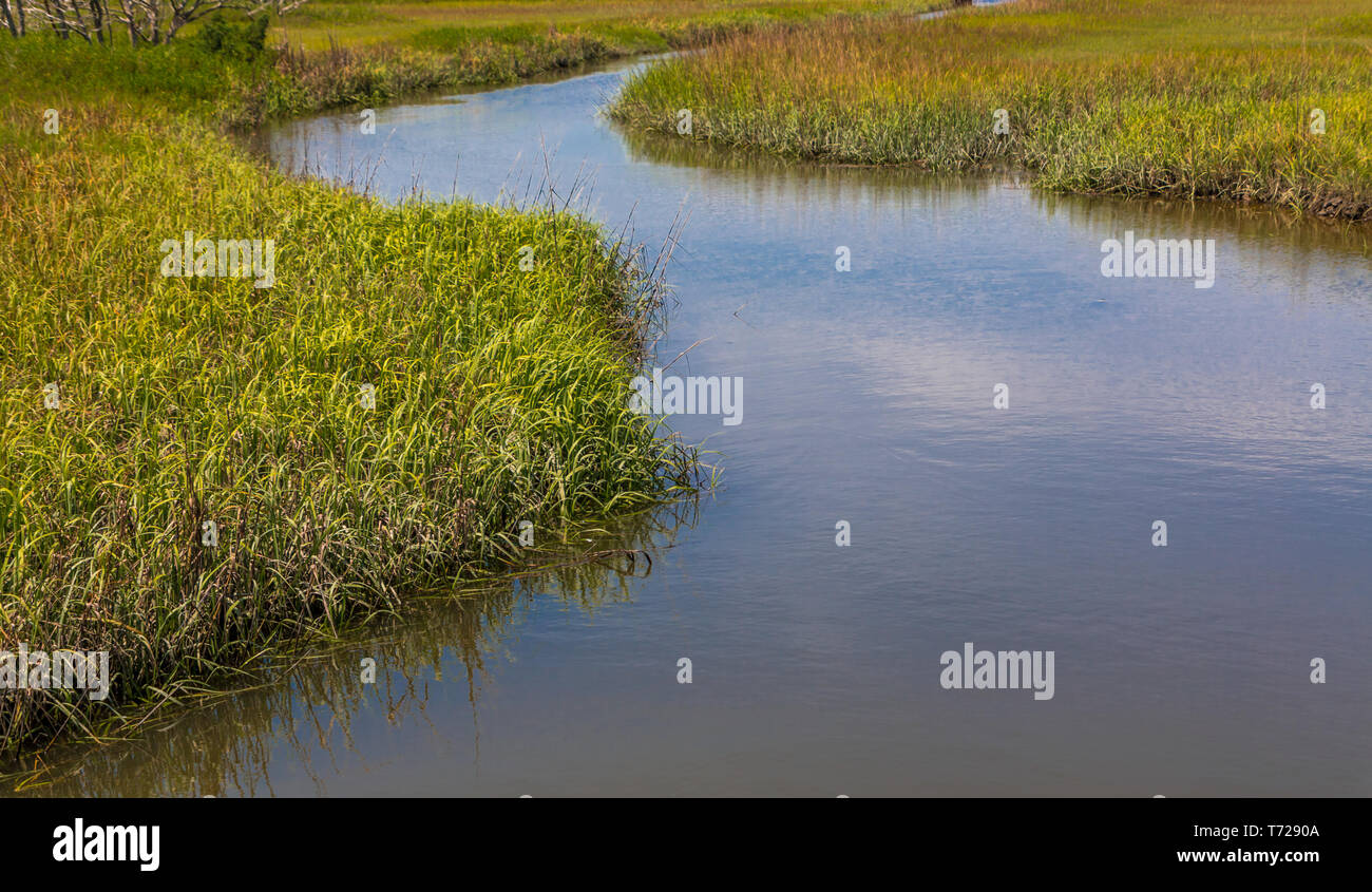 River Through Marshland Stock Photo - Alamy