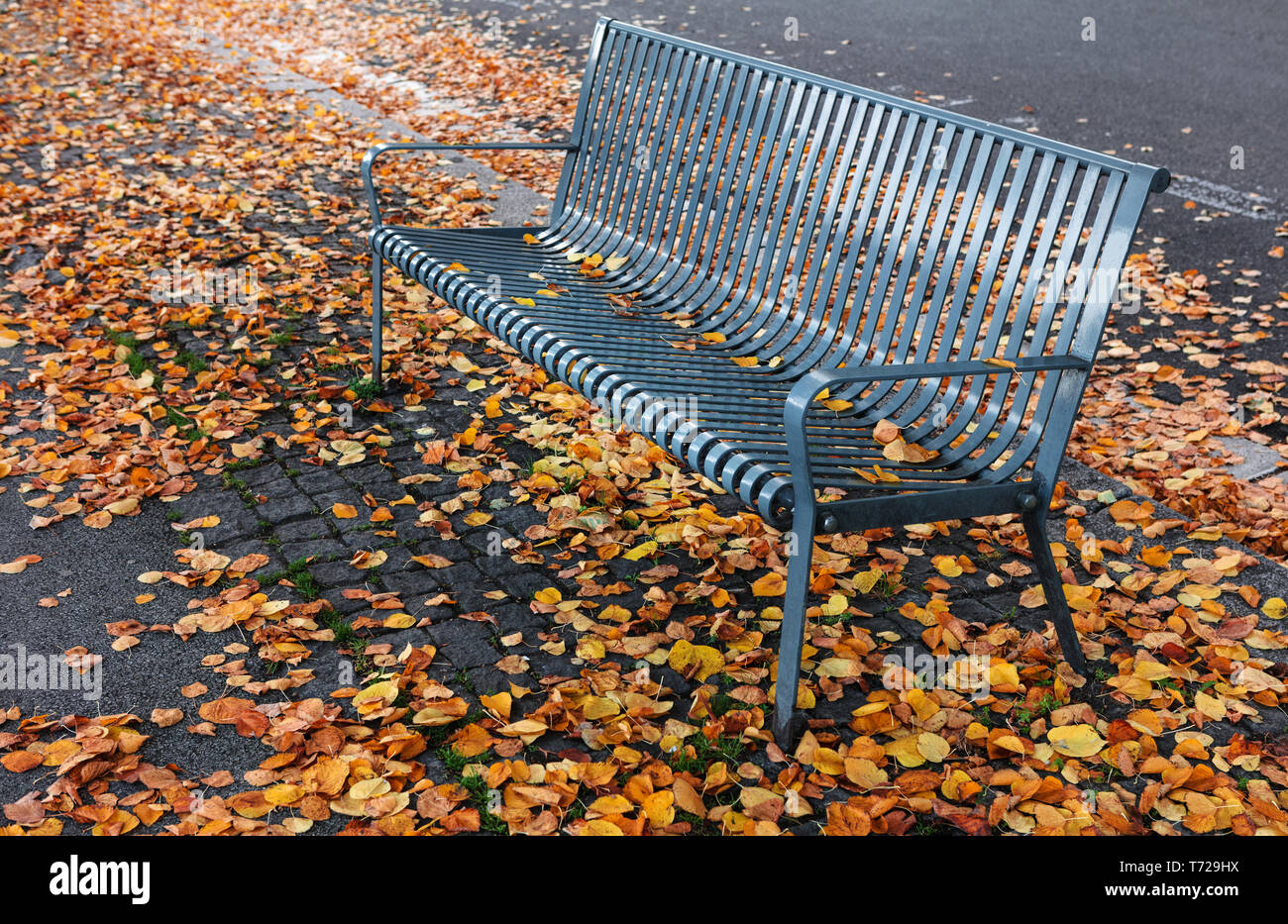 metal bench in the park Stock Photo - Alamy