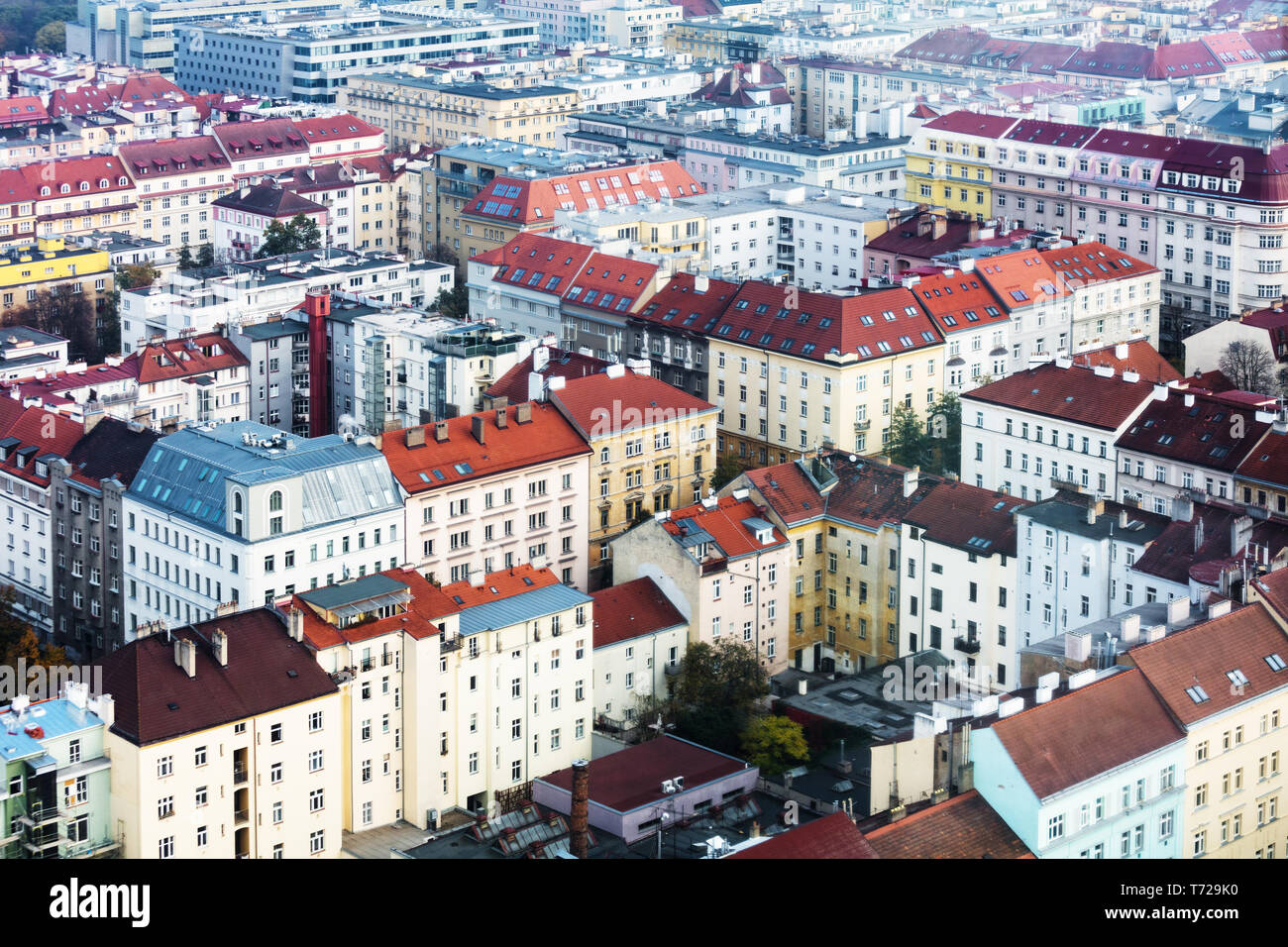 Prague traditional red roofs Stock Photo - Alamy
