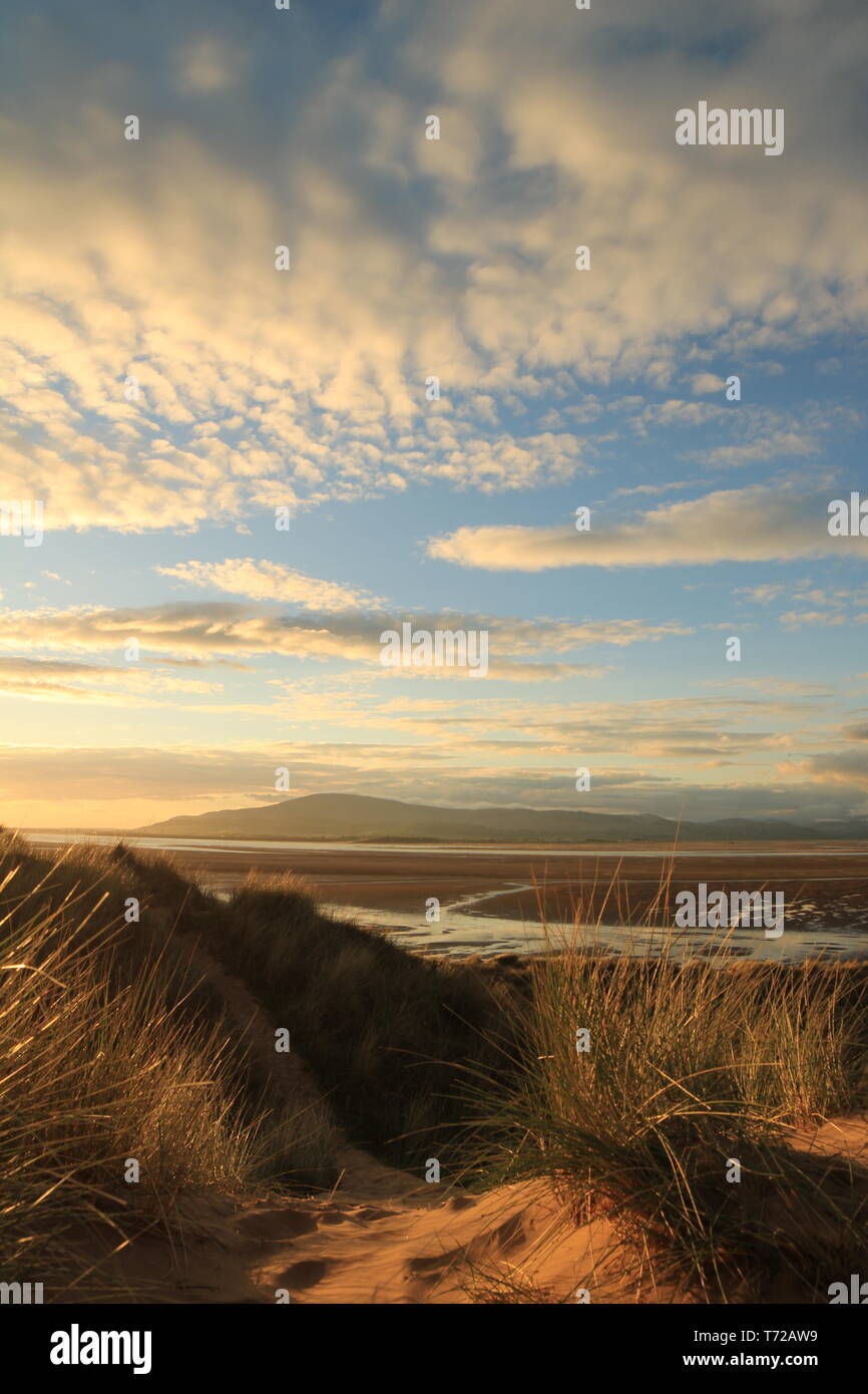 UK Sandscale Haws National Nature Reserve, Roanhead, Barrow In Furness ...