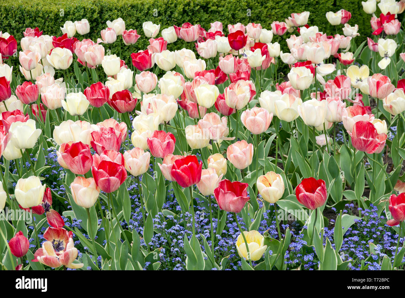 The silver stream the silver stream hi-res stock photography and images ...