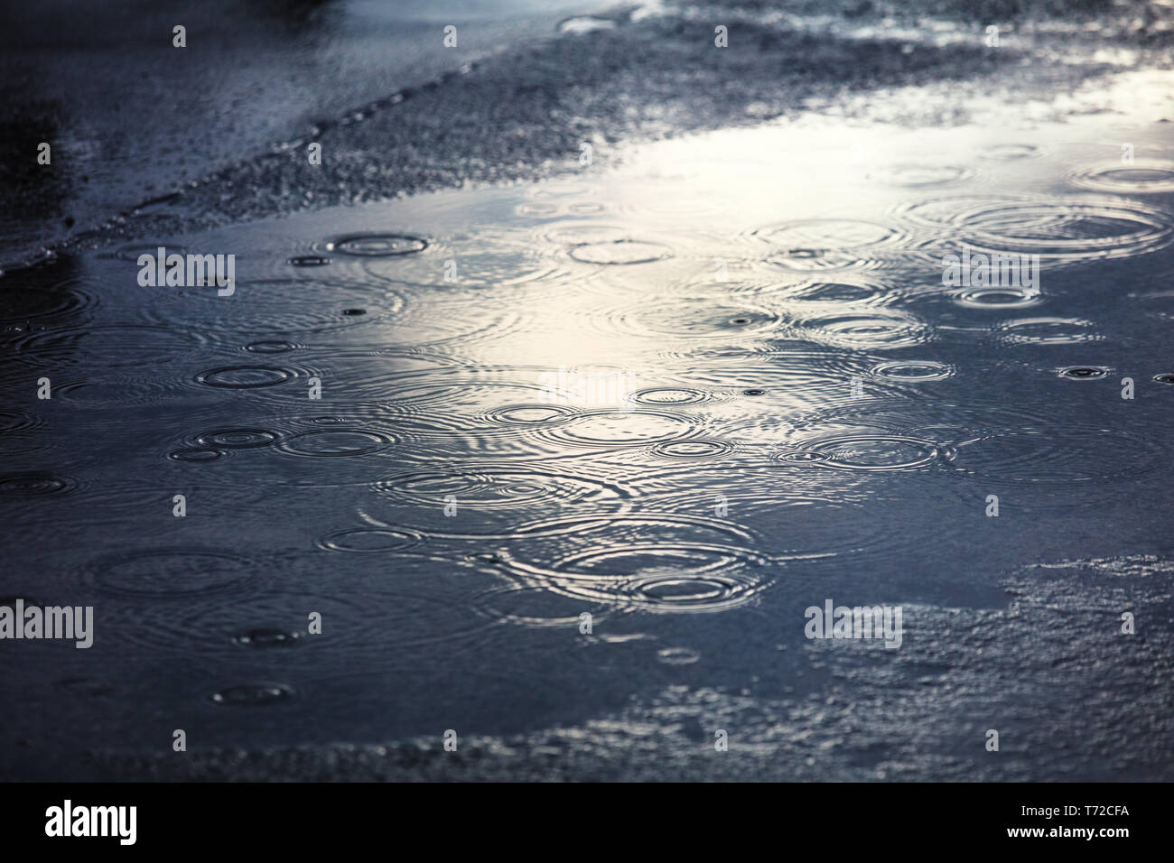 rain puddles on a pavement in city Stock Photo - Alamy