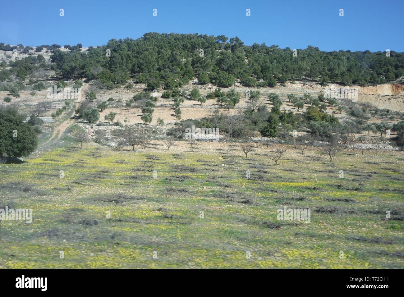 Landscape in Jordan Stock Photo - Alamy